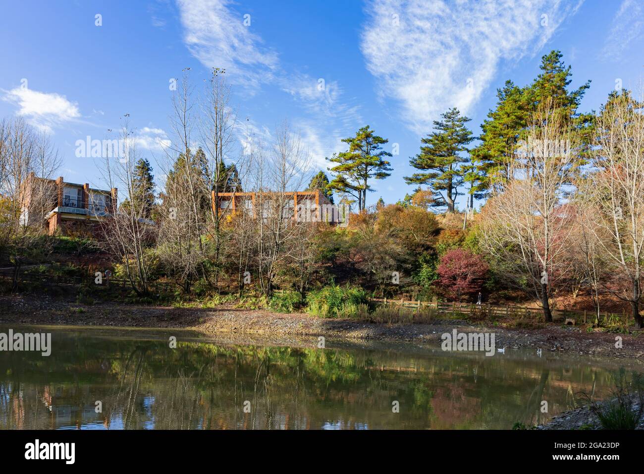 Autumn landscape in Wuling Farm at Taichung, Taiwan Stock Photo - Alamy