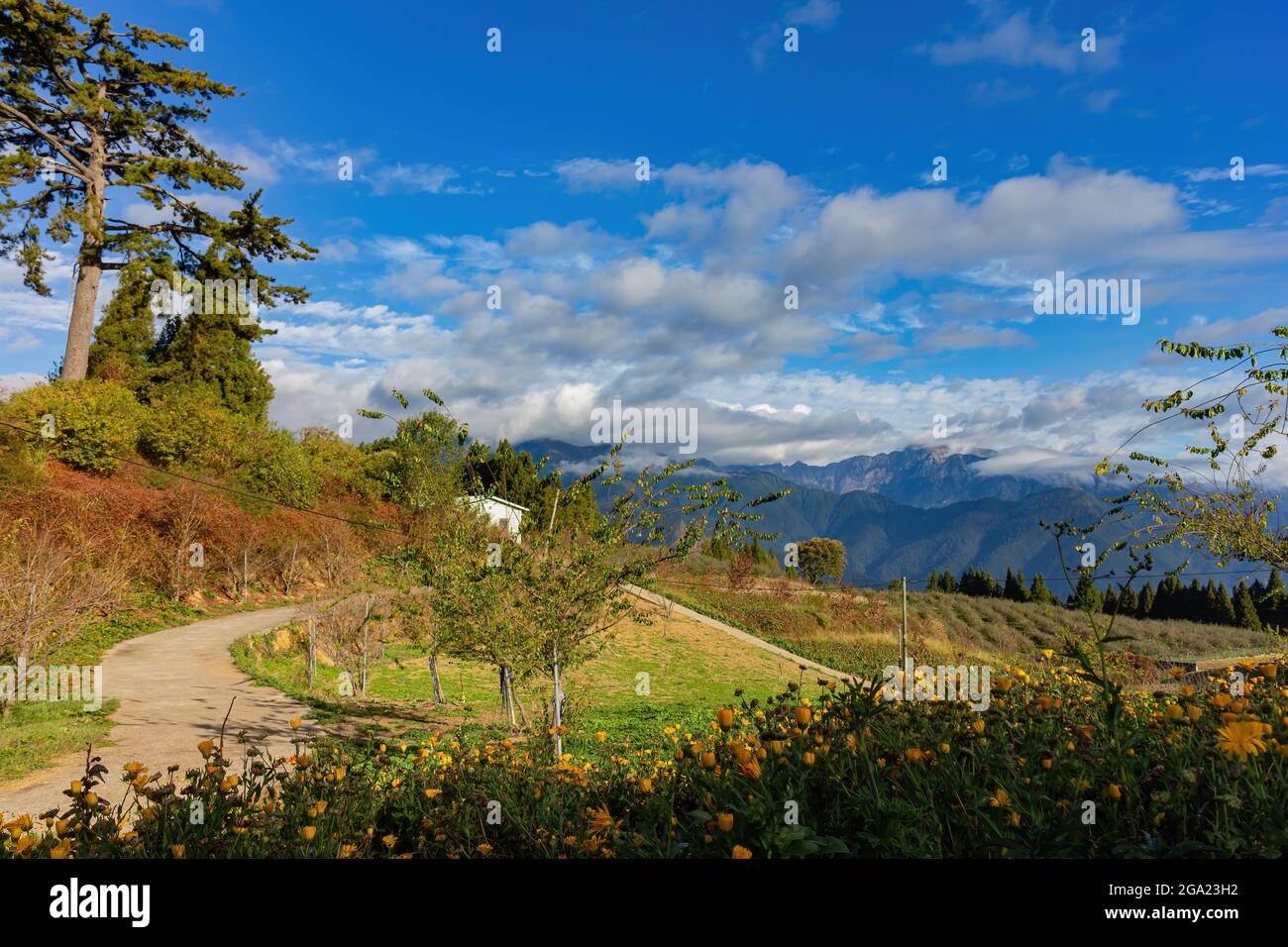 Autumn mountain landscape in Wuling Farm at Taichung, Taiwan Stock ...