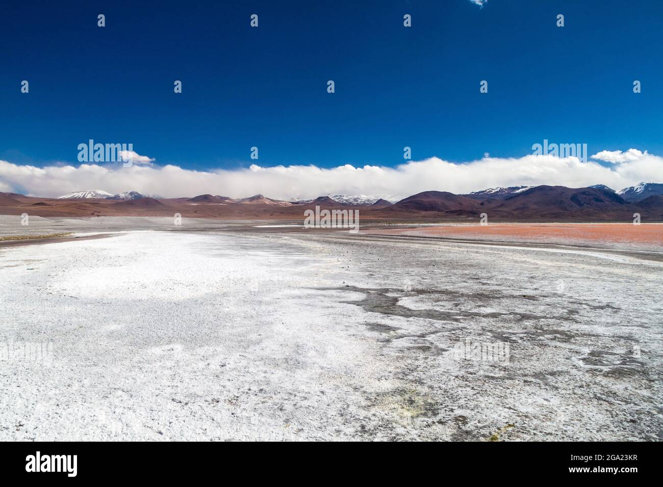 Coast of Laguna Colorada lake on bolivian Altiplano Stock Photo - Alamy