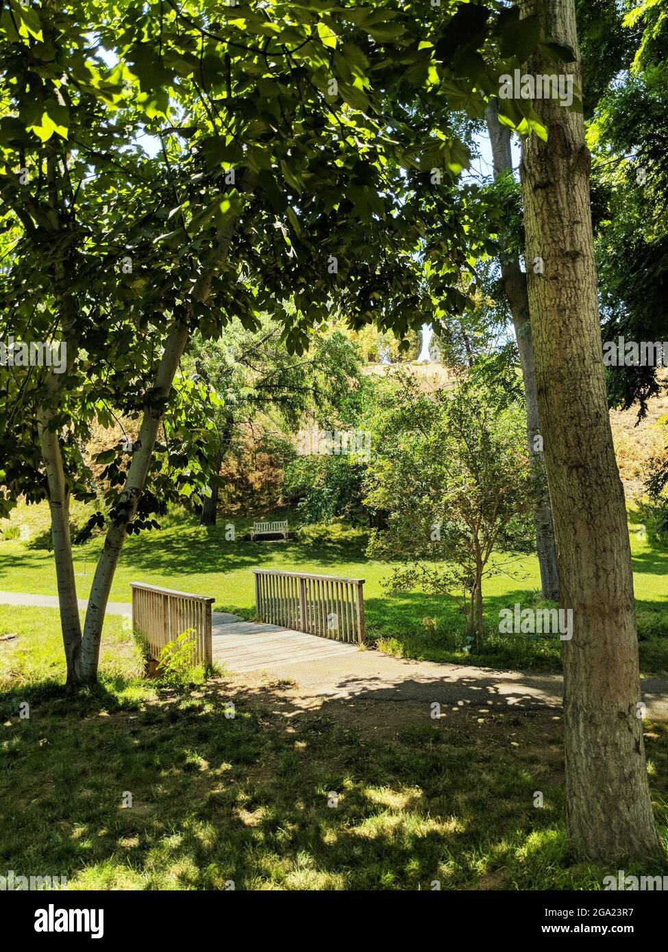 Small foot bridge over a creek in a park Stock Photo - Alamy