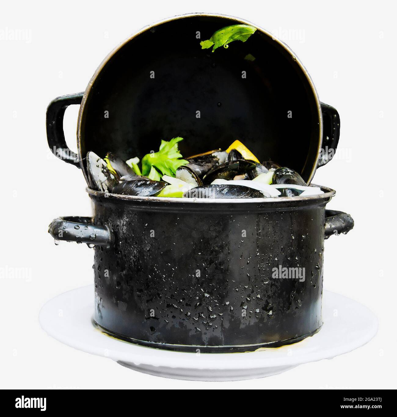 Fresh cooked mussels in metal black pot isolated on white background ...