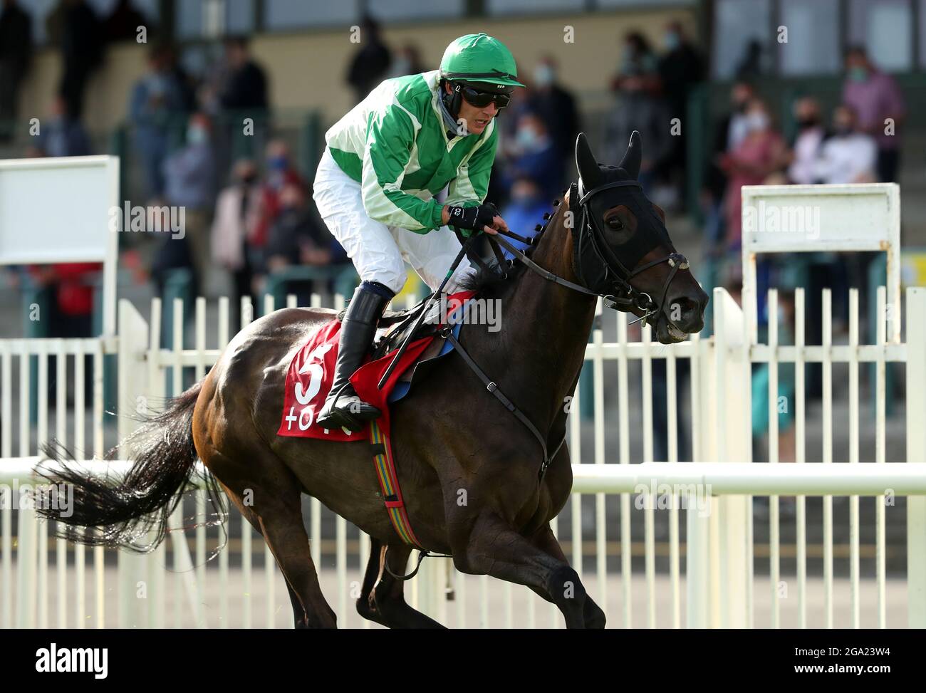 Royal rendezvous horse hi-res stock photography and images - Alamy