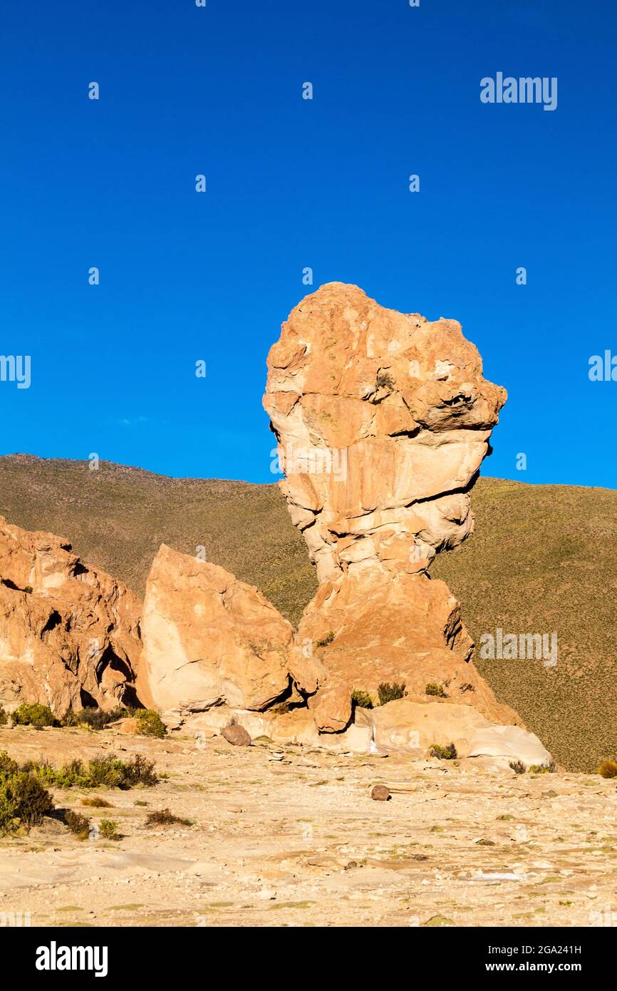 Copa america cup hi-res stock photography and images - Alamy