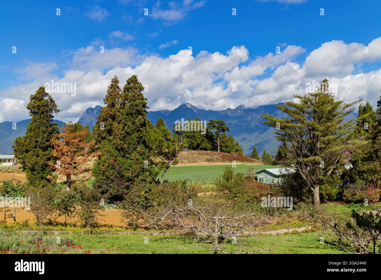 Autumn landscape in Wuling Farm at Taichung, Taiwan Stock Photo - Alamy