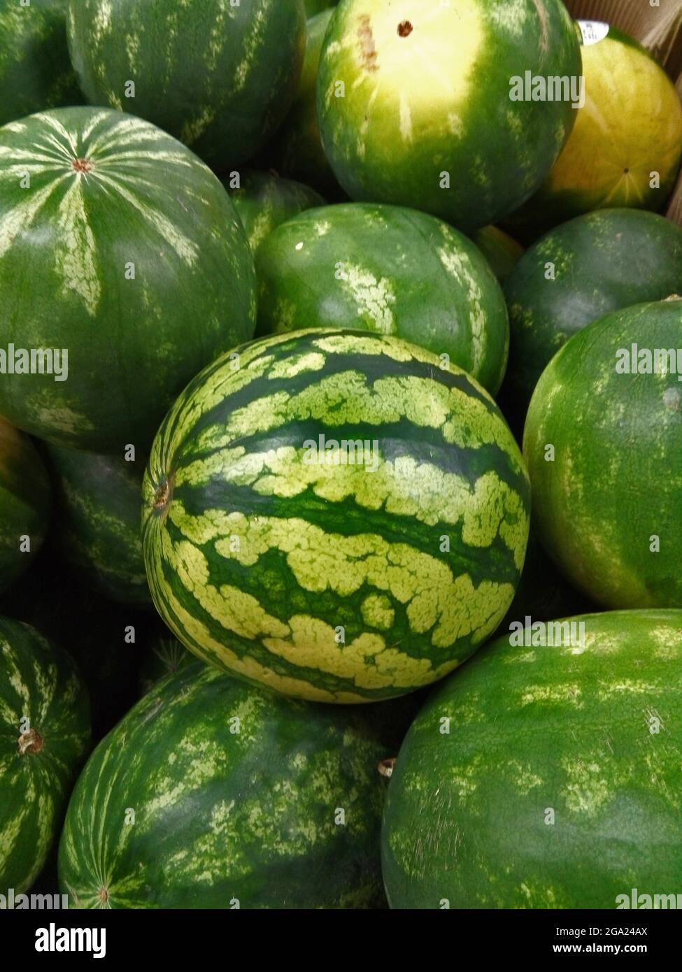 Watermelons in a market - fresh Stock Photo - Alamy