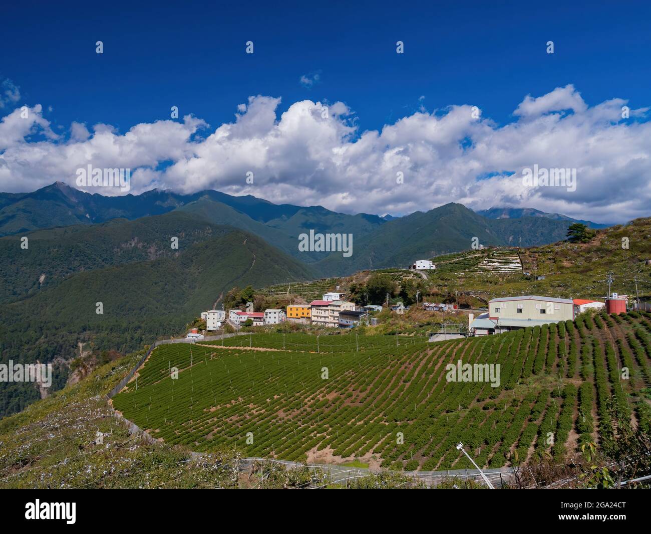 Sunny mountain landscape in Wuling Farm at Taichung, Taiwan Stock Photo ...