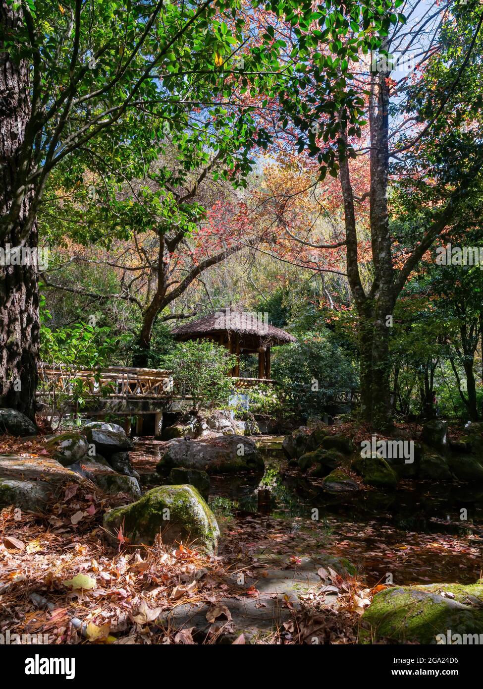 Autumn landscape in Wuling Farm at Taichung, Taiwan Stock Photo - Alamy