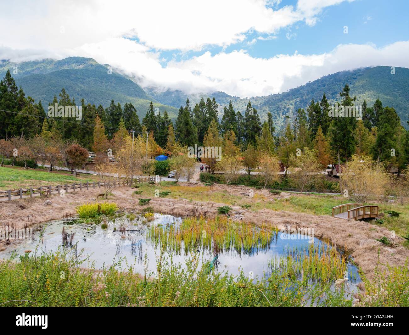 Autumn landscape with a pond reflection in Wuling Farm at Taichung ...