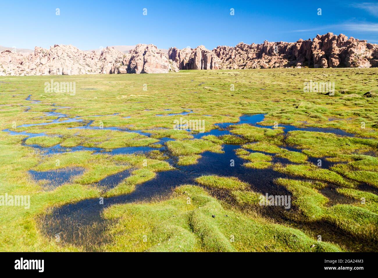 Landscape around Laguna Negra lake in Bolivia Stock Photo - Alamy