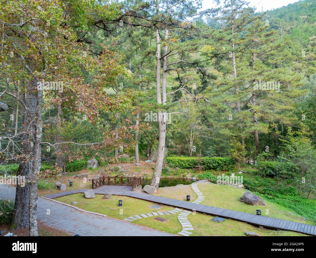 Autumn landscape in Wuling Farm at Taichung, Taiwan Stock Photo - Alamy
