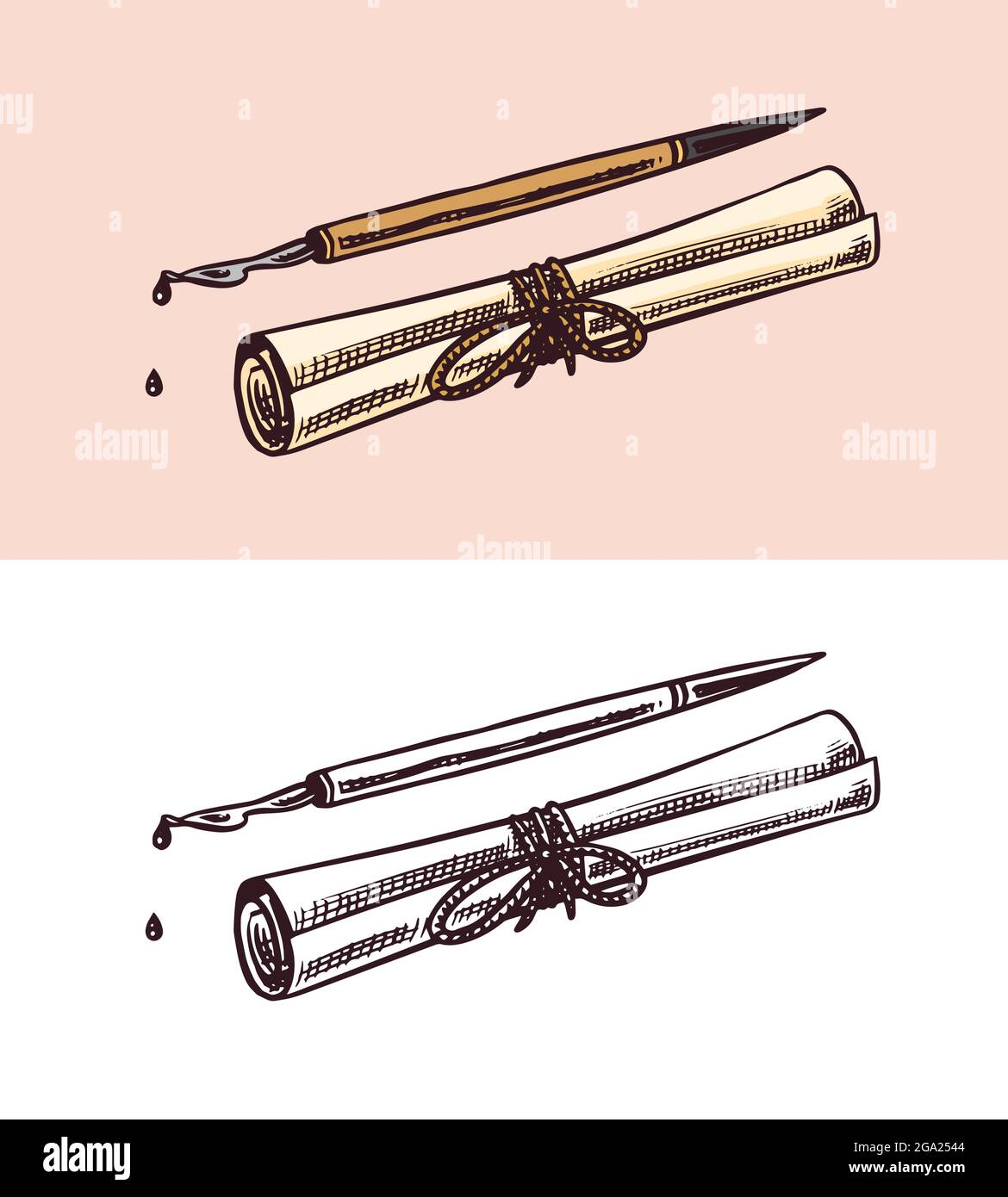 Pen and ink bird drawing hi-res stock photography and images - Alamy