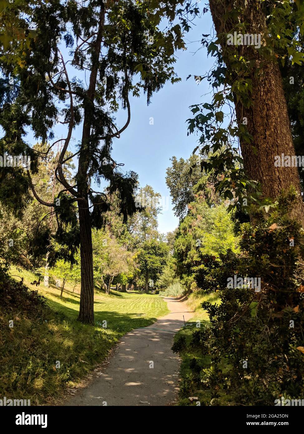 Walking through forest trail leaves hi-res stock photography and images ...