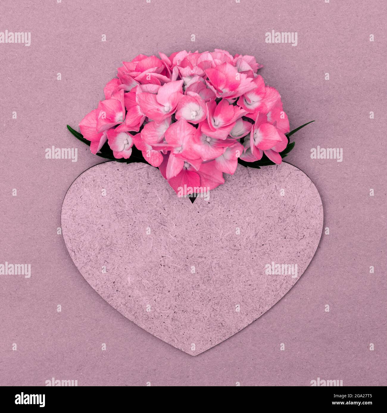 Pink hydrangea with heart and copy space for design Stock Photo - Alamy