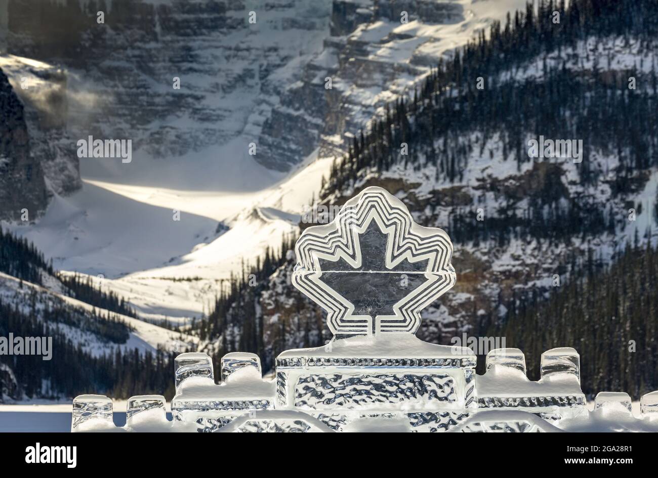 Canadian Maple Leaf Ice Sculpture with a background of a snow covered ...
