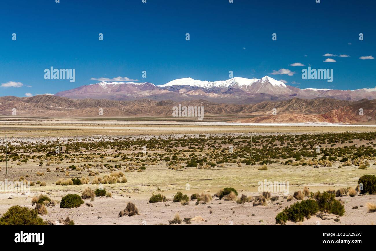 Dry high altitude landscape of the Altiplano in Bolivia Stock Photo - Alamy