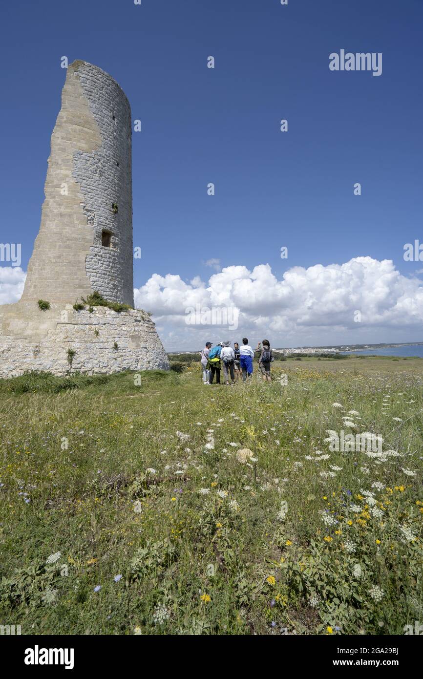 Torre del serpe hi-res stock photography and images - Alamy
