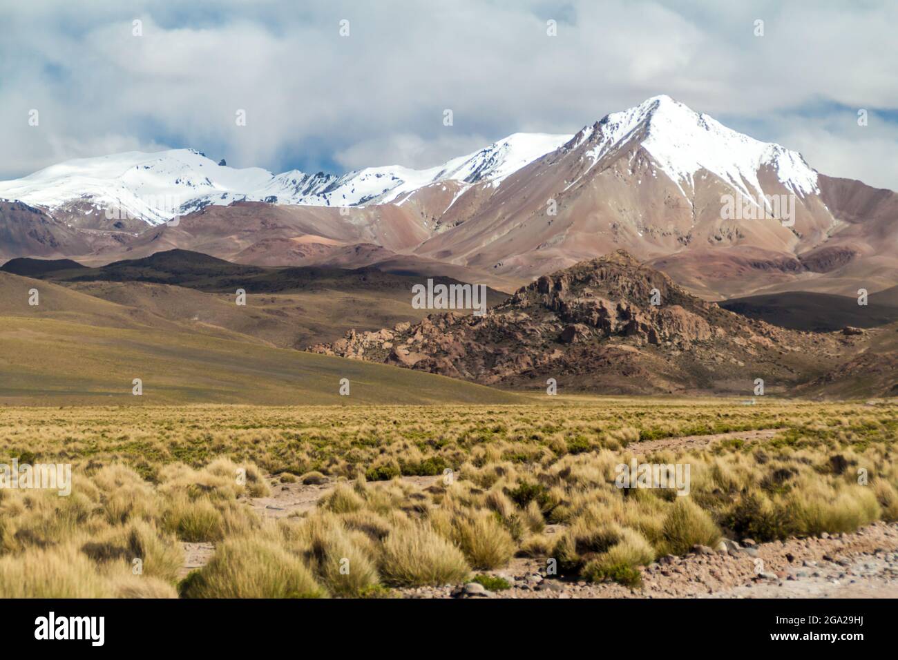 Snow covered mountains soaring from altiplano in Bolivia Stock Photo ...