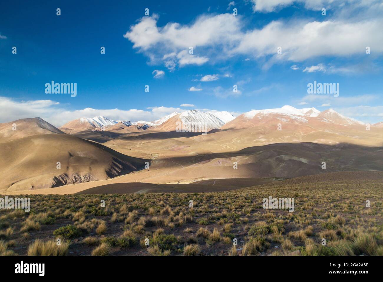 Snow covered mountains soaring from altiplano in Bolivia Stock Photo ...