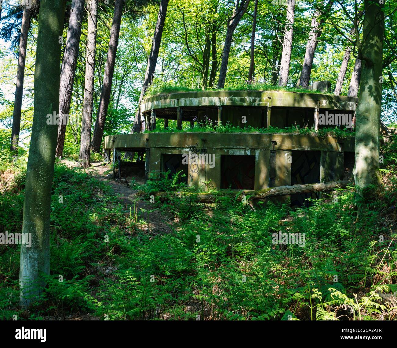 Concrete gun emplacement hi-res stock photography and images - Alamy