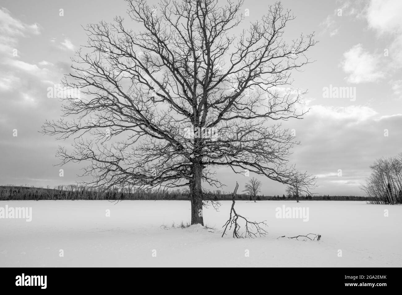 Nipigon hi-res stock photography and images - Alamy