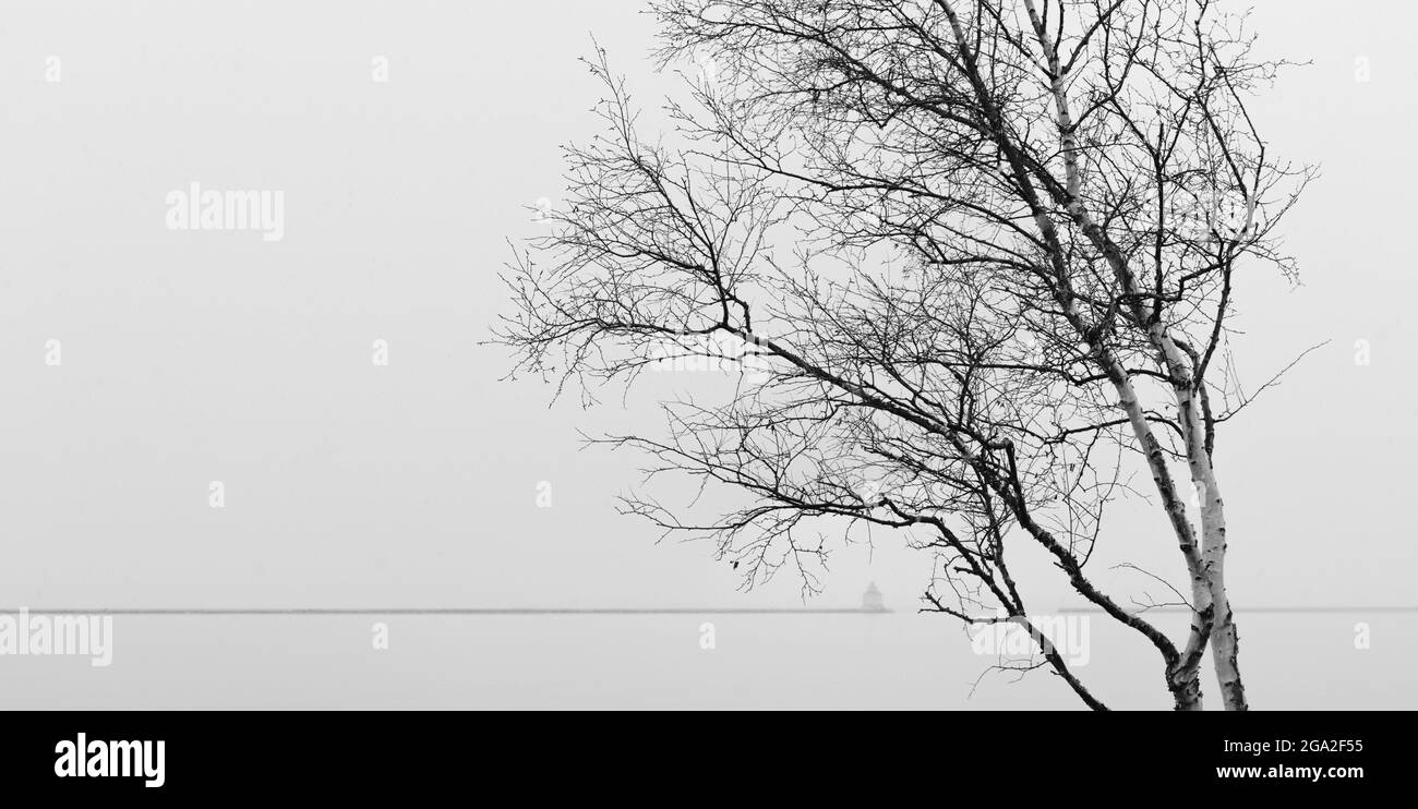 Land art and winter hi-res stock photography and images - Alamy