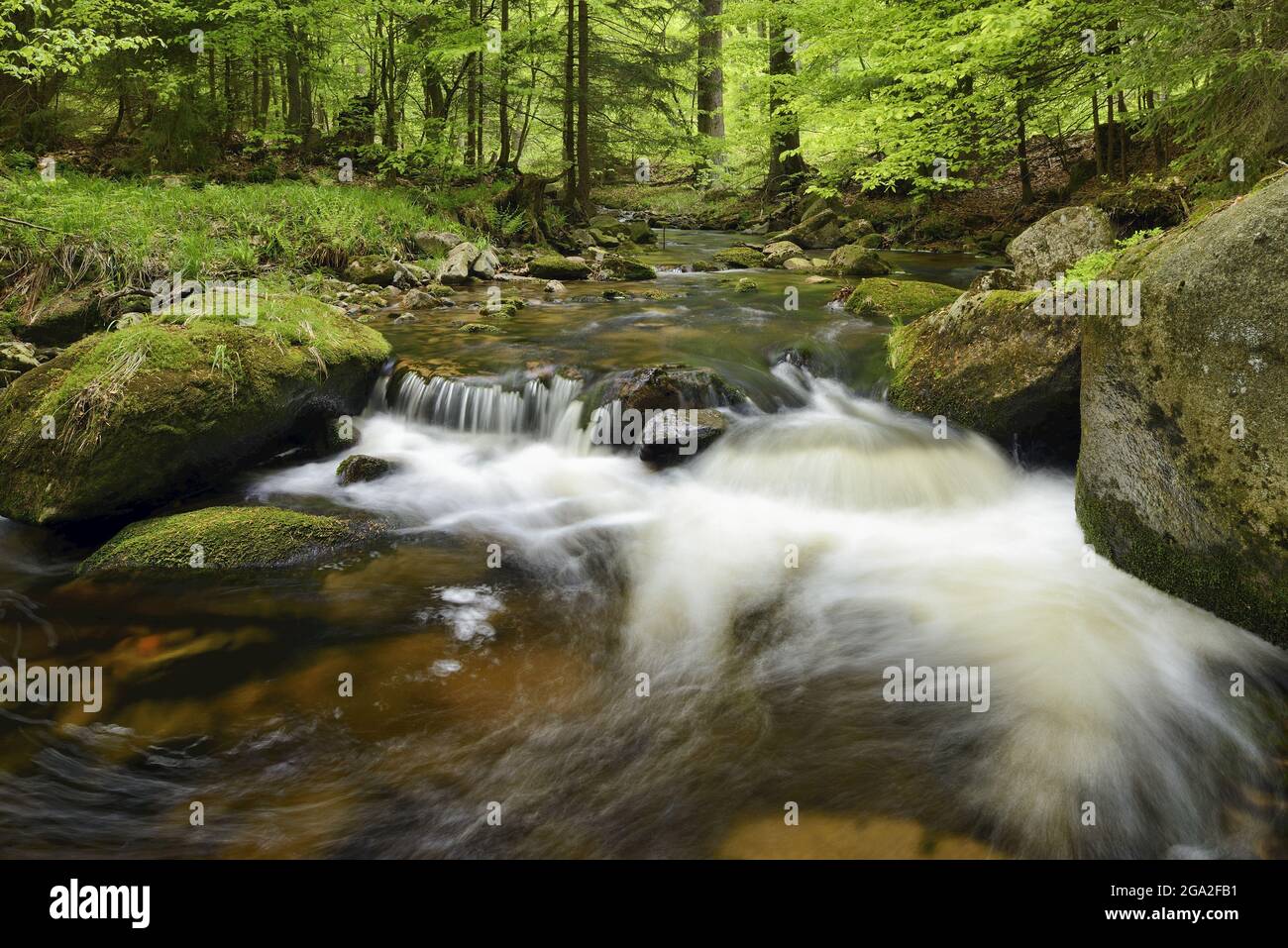 Ilse River High Resolution Stock Photography and Images - Alamy