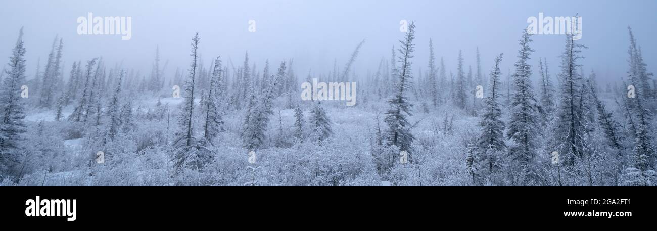 Yukon canada ice fog hi-res stock photography and images - Alamy