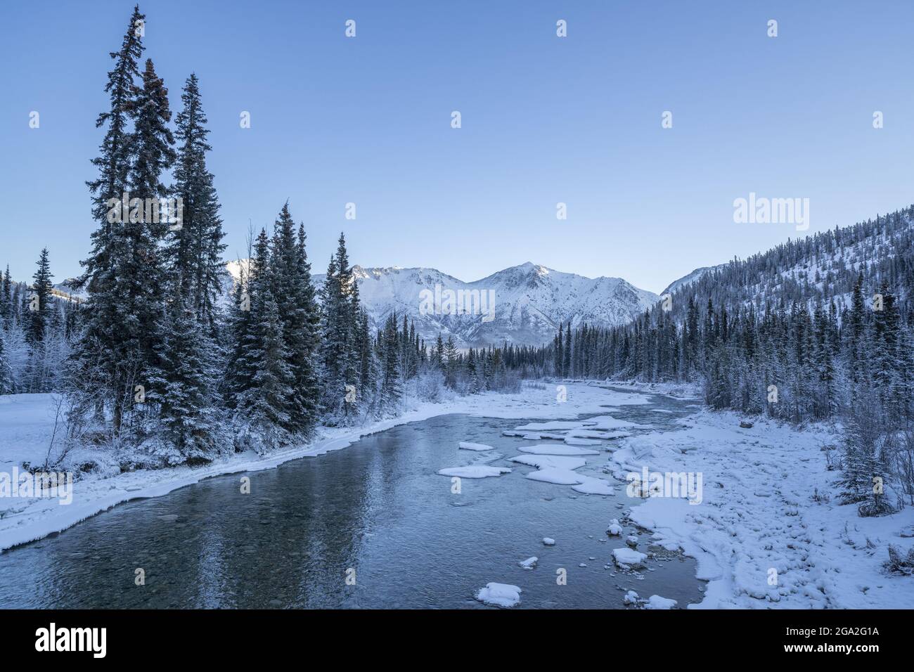 Tree lined river hi-res stock photography and images - Alamy