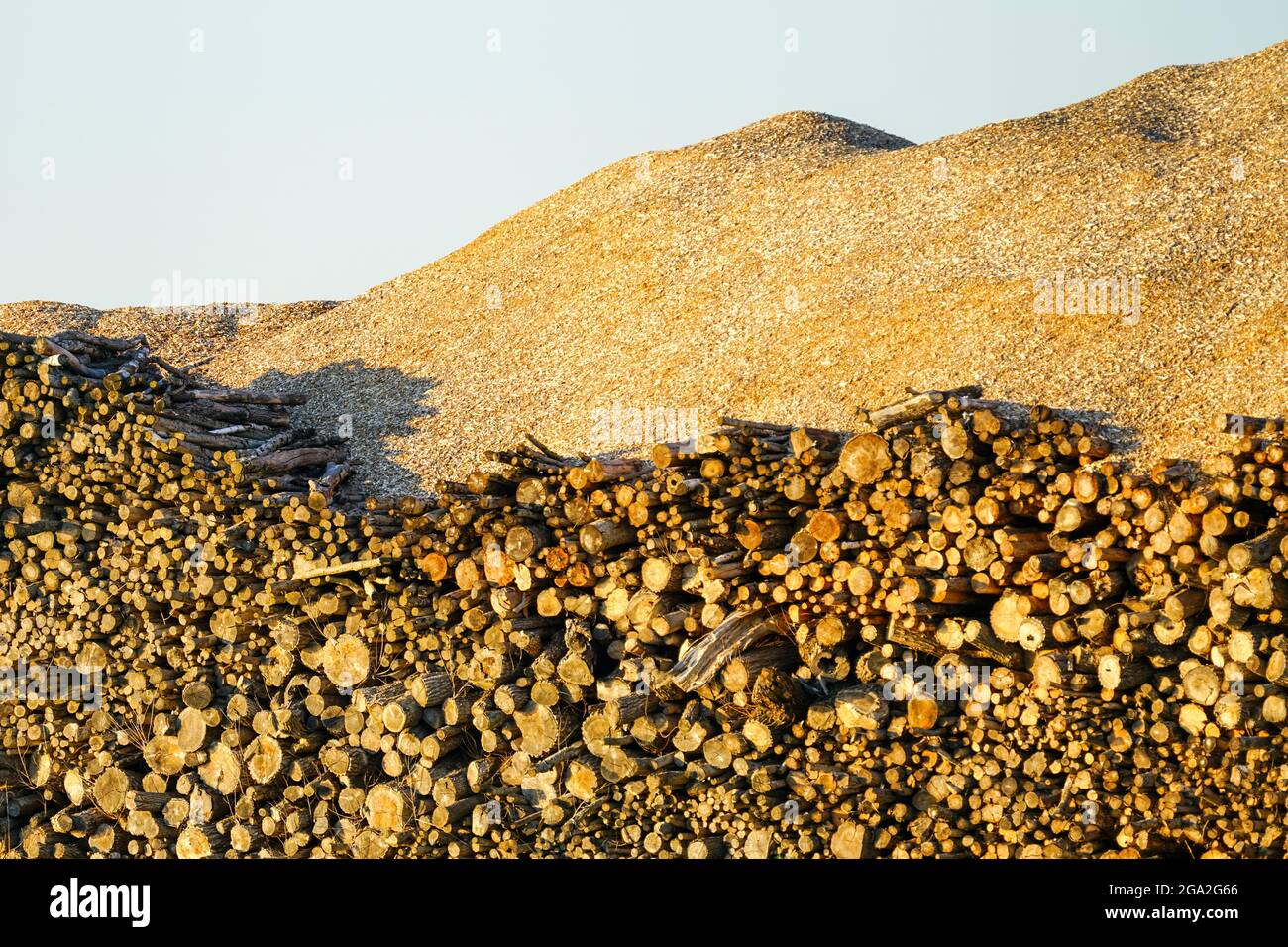 large piles of firewood logs and pyramid of wood chips in storage yard ...
