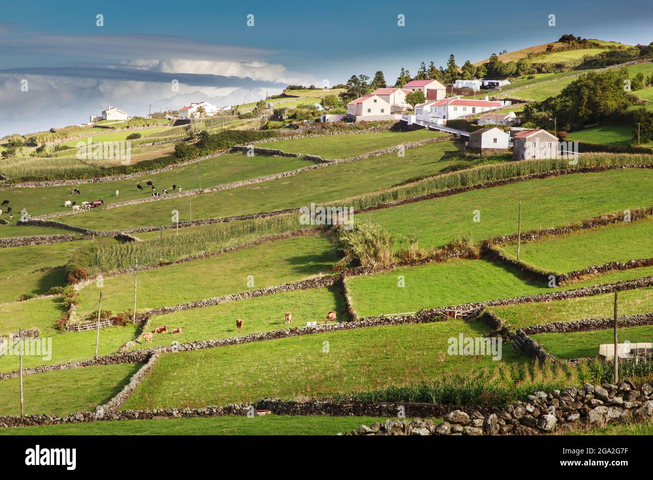 Aerial view of farm buildings and grassy farmland separated by stone ...
