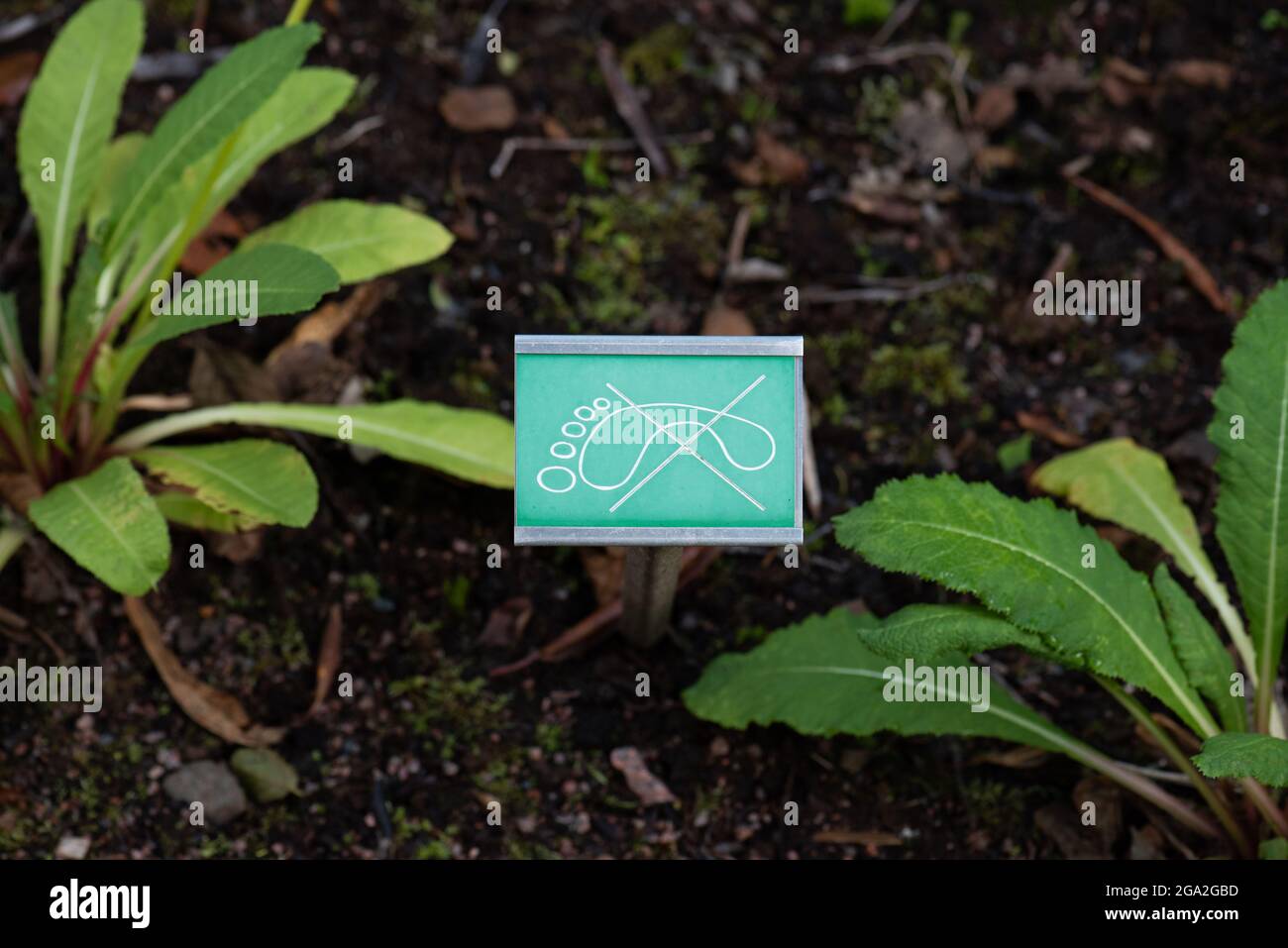 No step sign in a park Stock Photo - Alamy