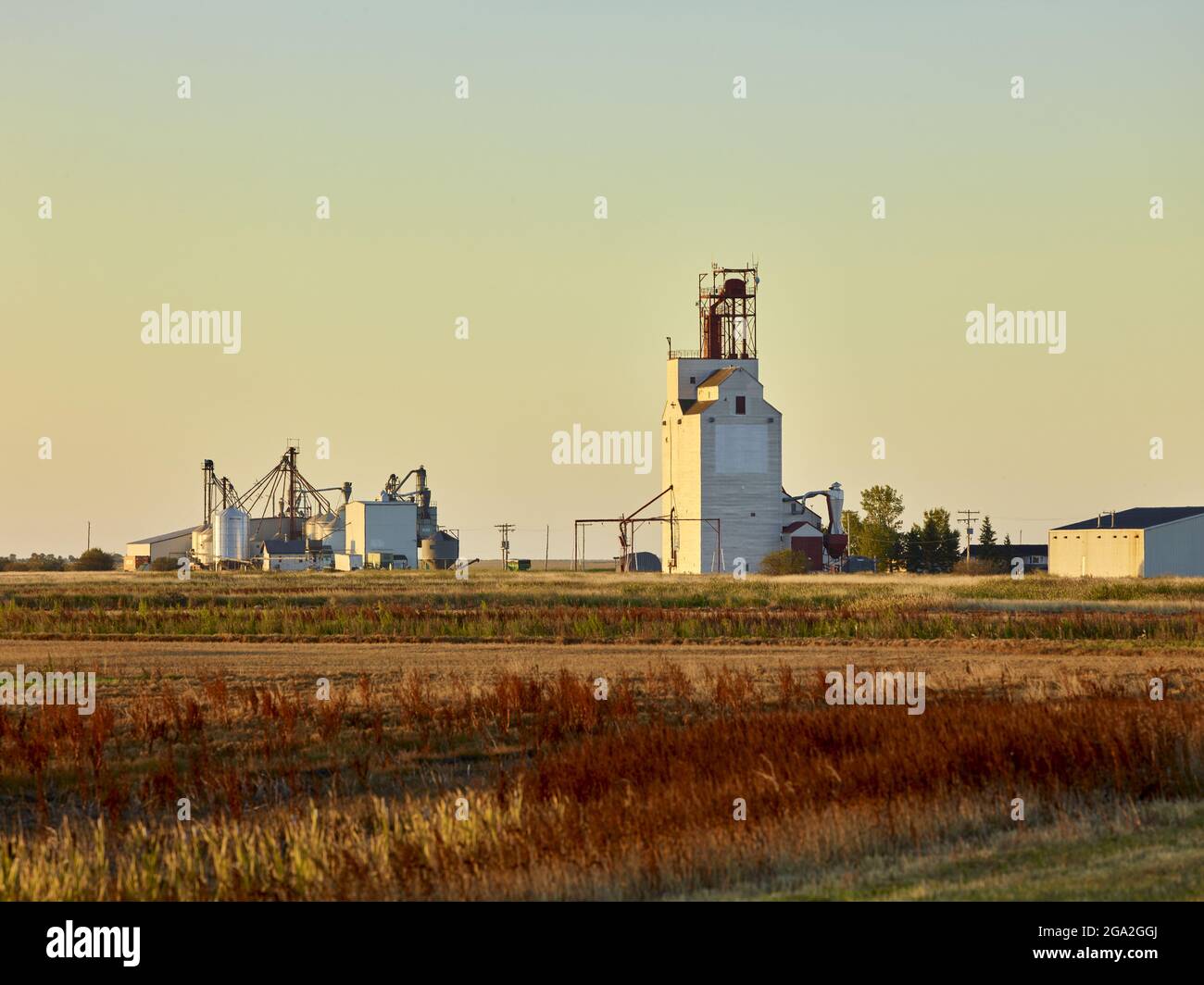 Golden sunlight reflected on the automated grain elevator and storage ...