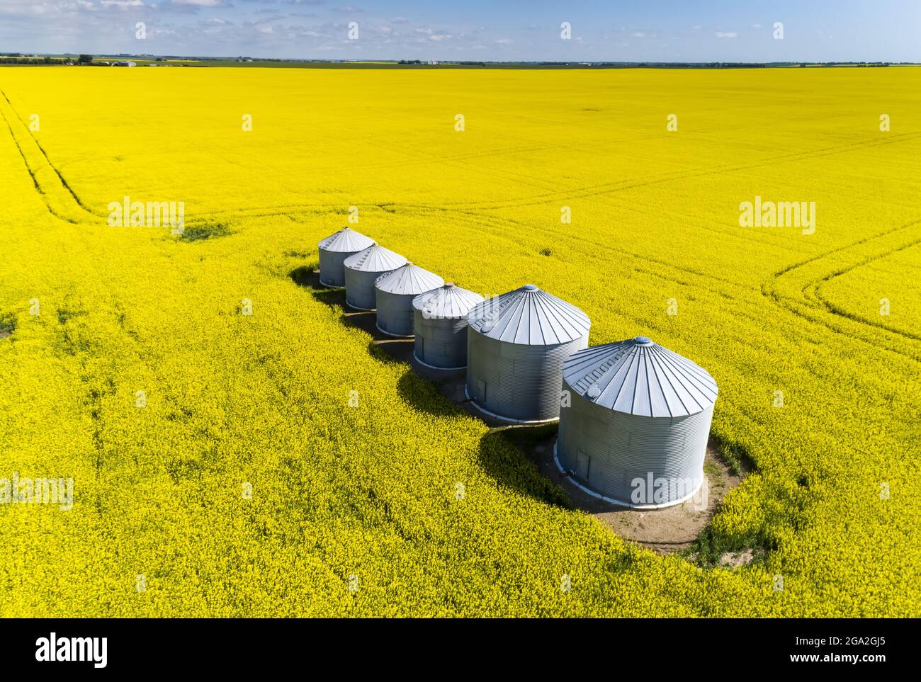Aerial view canola fields canola hi-res stock photography and images ...