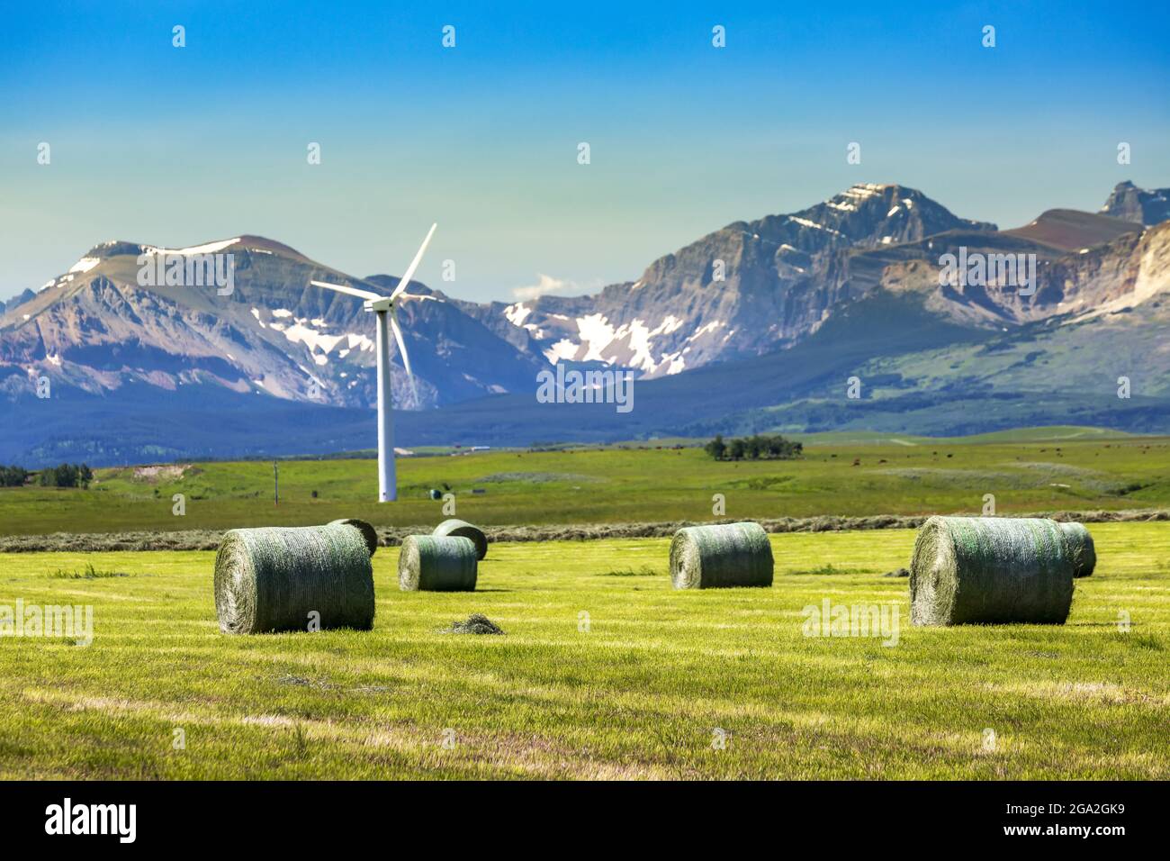 Round large hay bales and a wind turbine in a field with foothills and ...