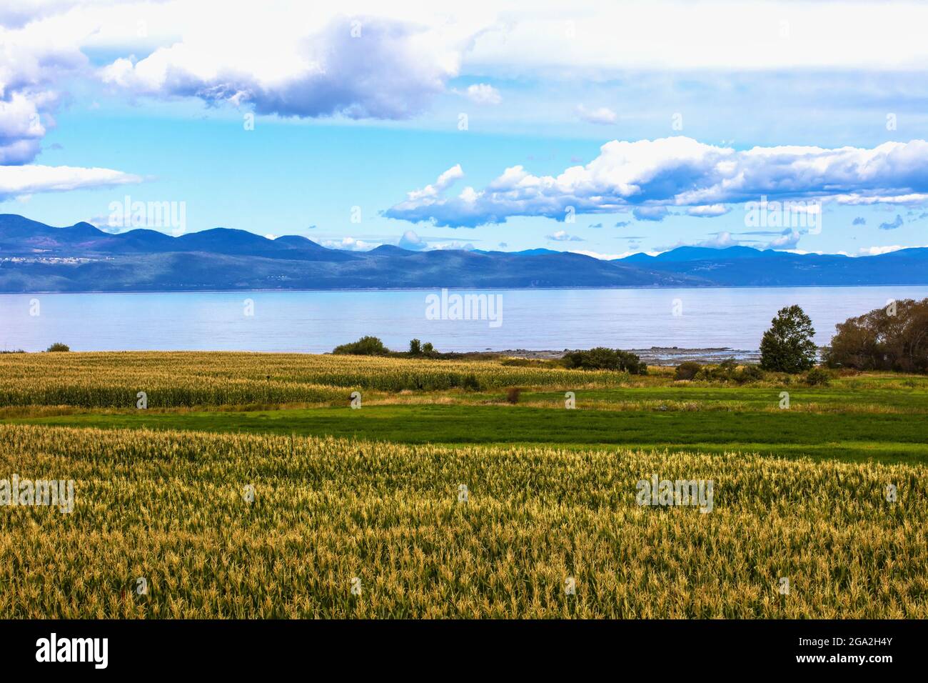 Formation of the appalachians hi-res stock photography and images - Alamy