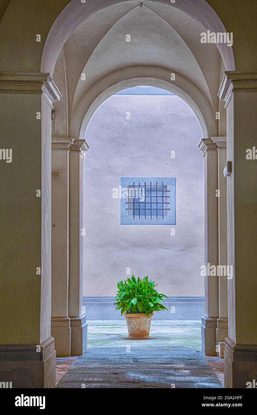Vaulted arched doorway with a terracotta planter and green leafed plant ...