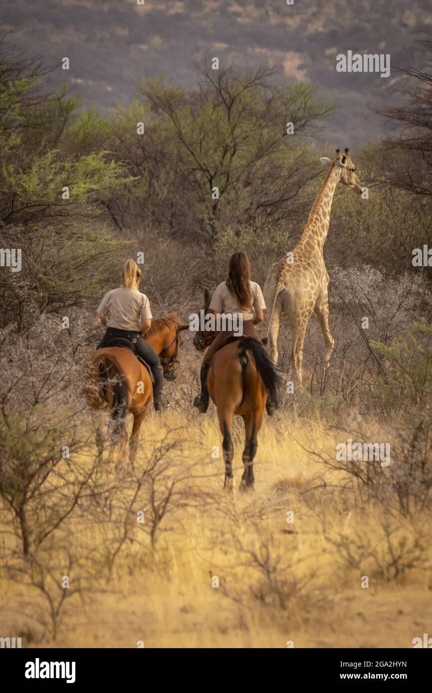 Blonde women from behind hi-res stock photography and images - Alamy