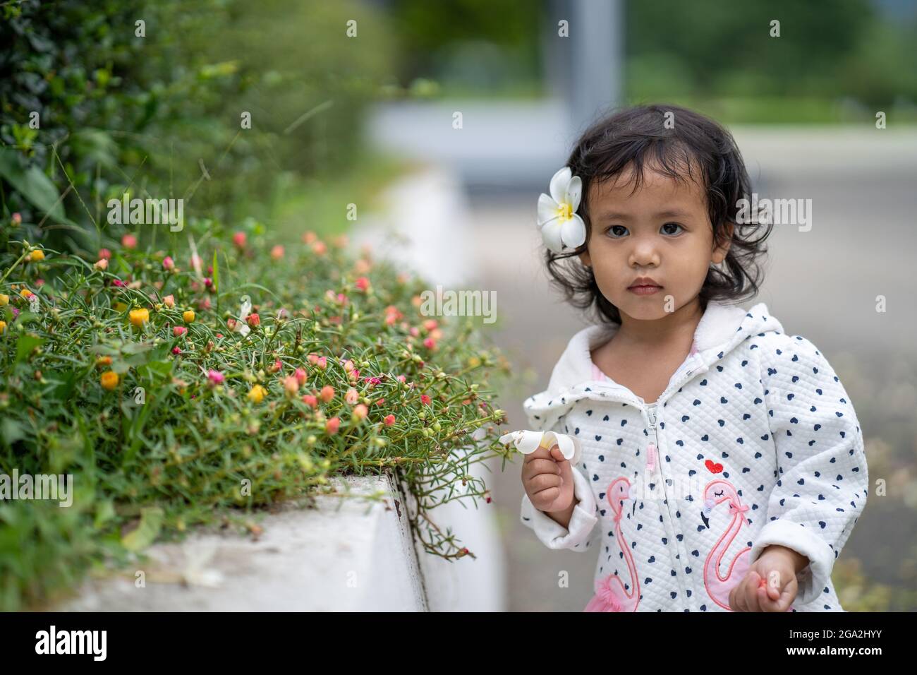 Cute Asian female child with a flower in her hair in a park Stock Photo ...