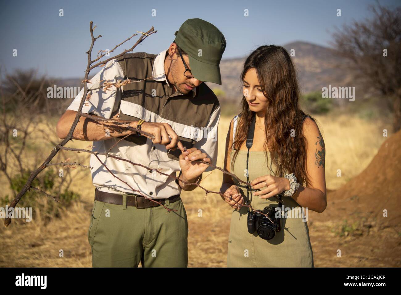 Safari guide showing woman traveler tree branch on the savanna at the ...