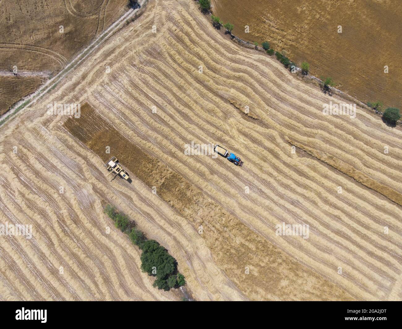 Aerial drone view of a yellow combine harvester and a blue tractor ...