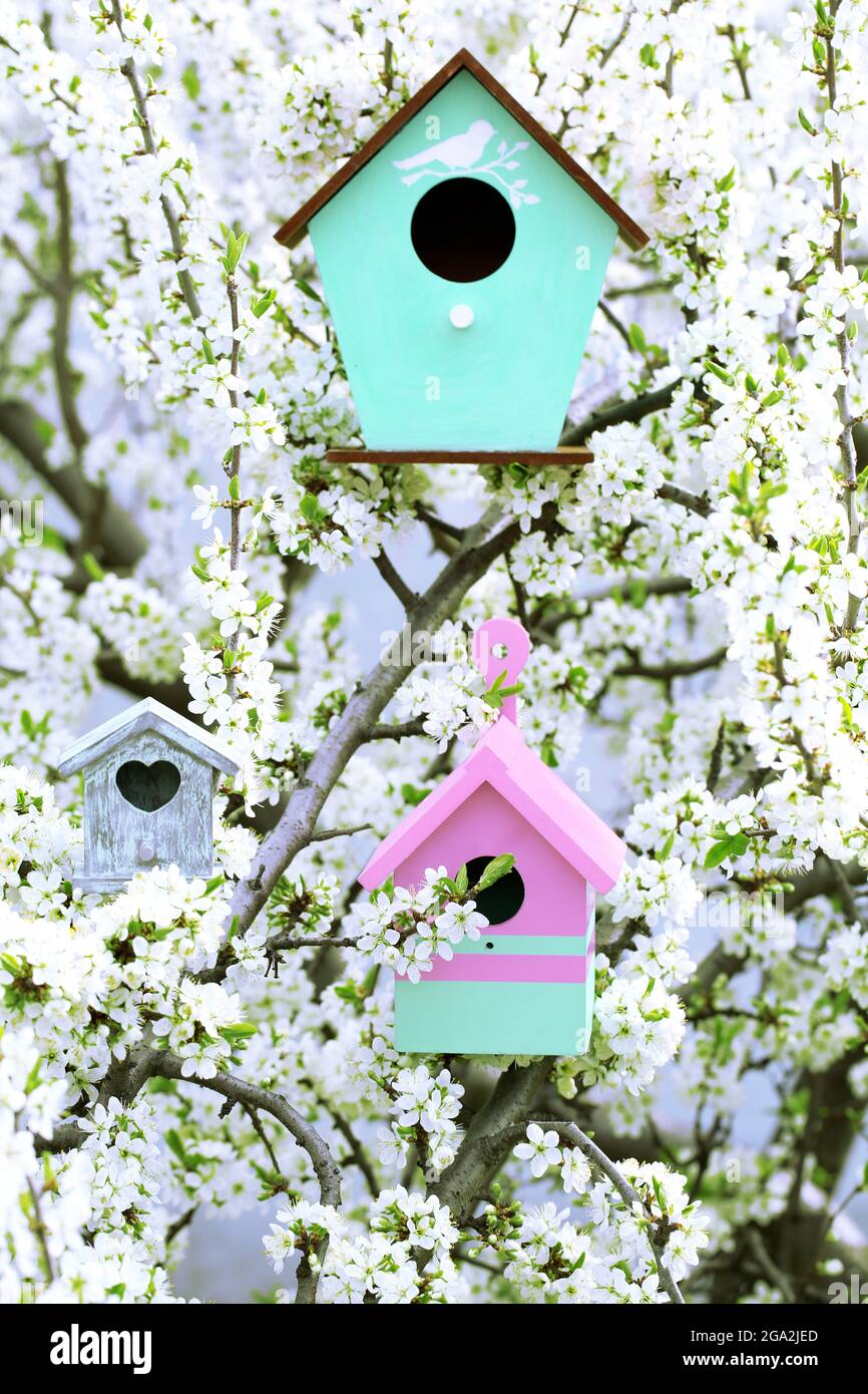 Decorative nesting boxes on bright background Stock Photo - Alamy