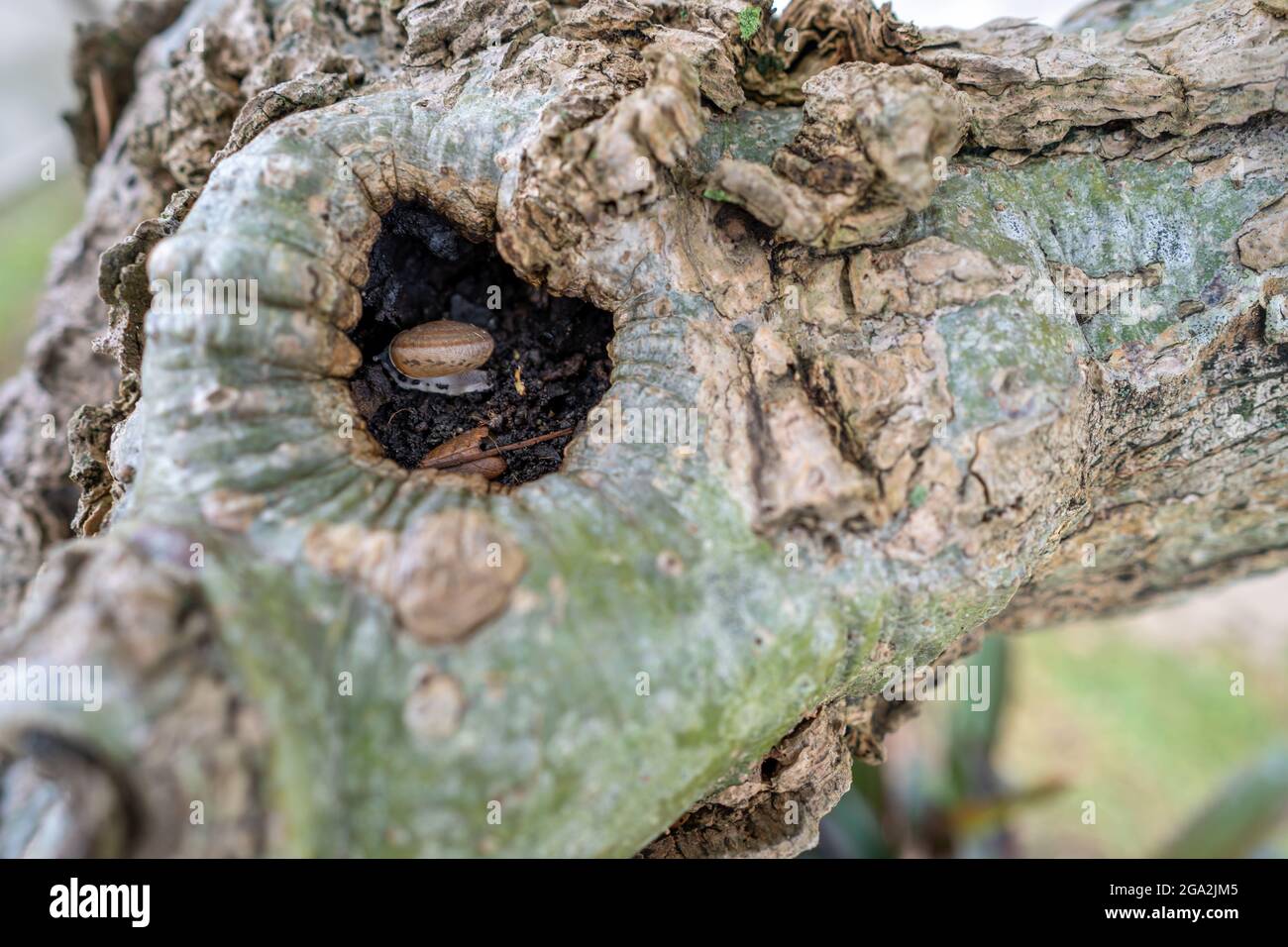 Close up hole in textured hi-res stock photography and images - Alamy