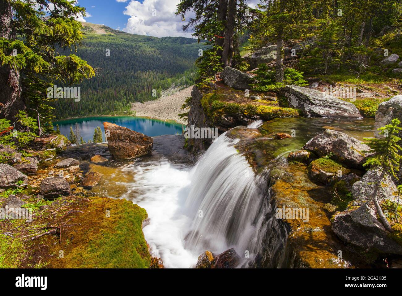 Forest waterfall in banff national park hi-res stock photography and ...