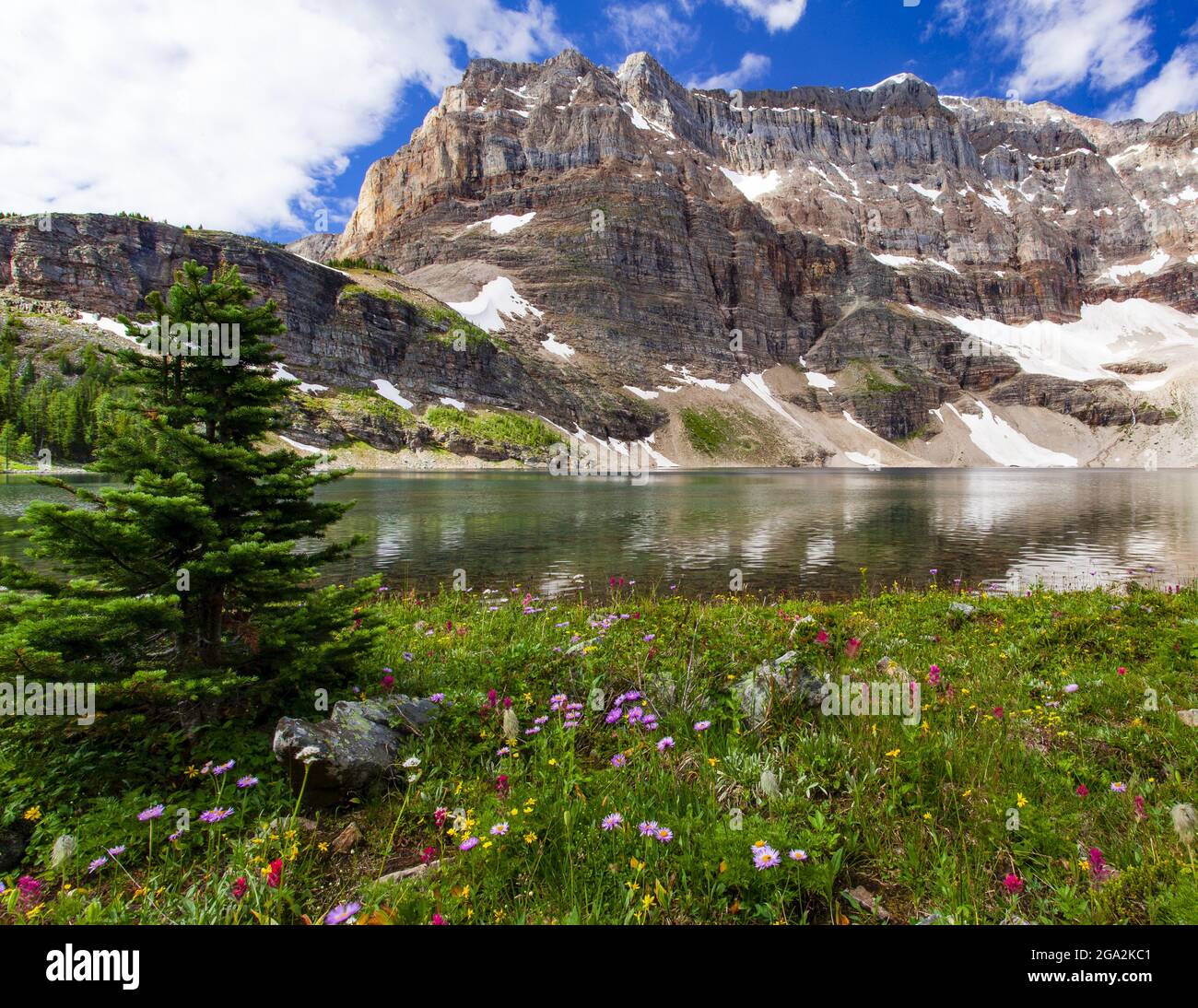 Scarab Lake, Banff National Park; Alberta, Canada Stock Photo - Alamy