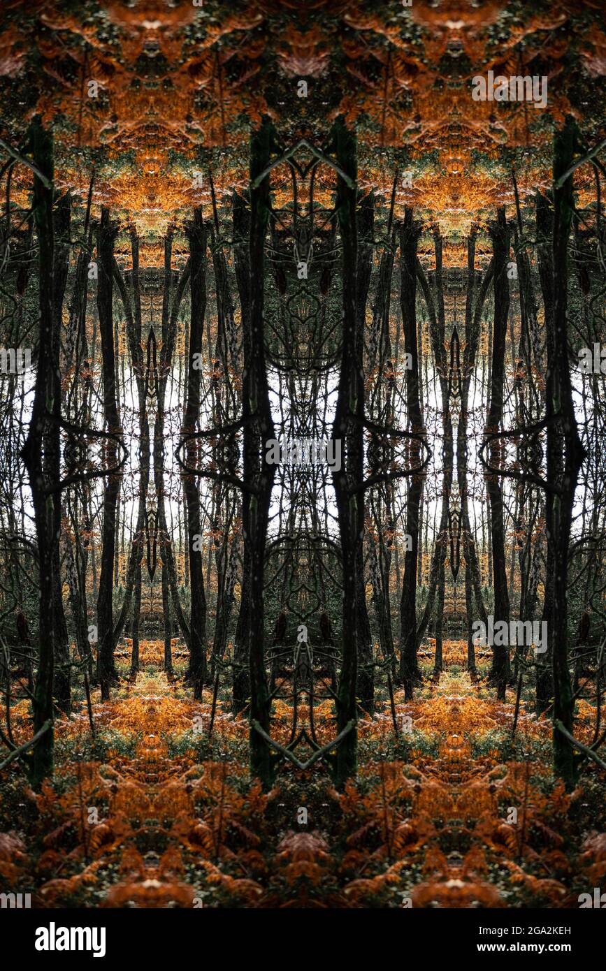 Garden themed wallpaper hi-res stock photography and images - Alamy