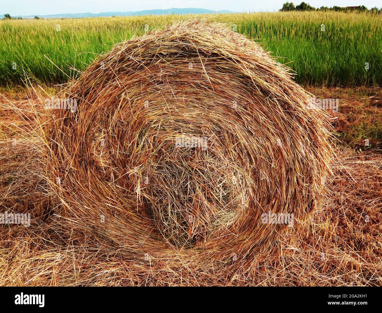 bale of hay in Maramures county Stock Photo - Alamy