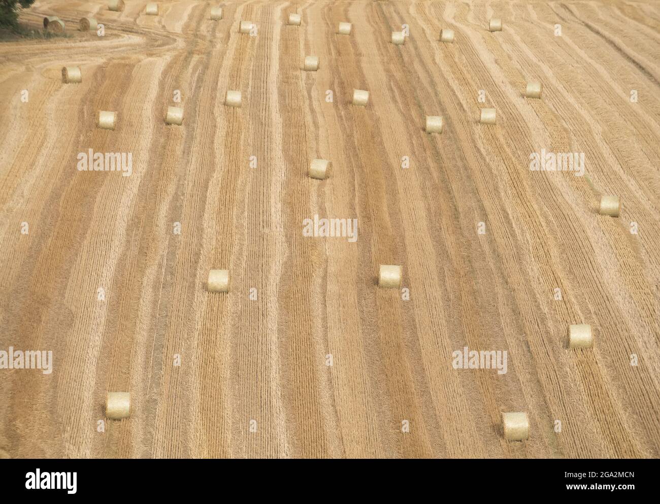 Aerial view of an agricultural field with wrapped hay rolls dotting the ...