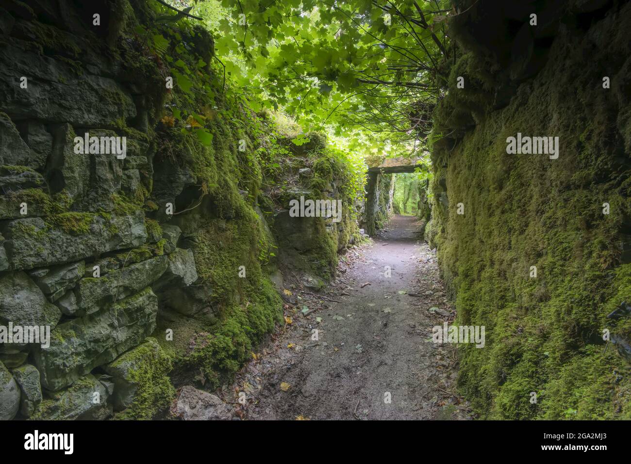 Pigeon hole walk hi-res stock photography and images - Alamy