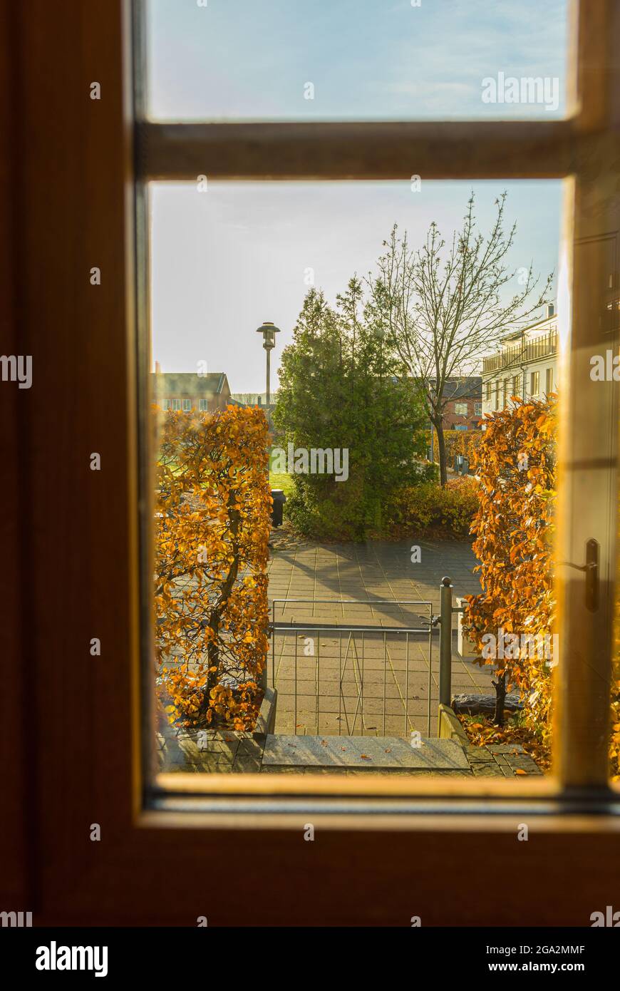 View over a road and trees through the window of a door Stock Photo - Alamy