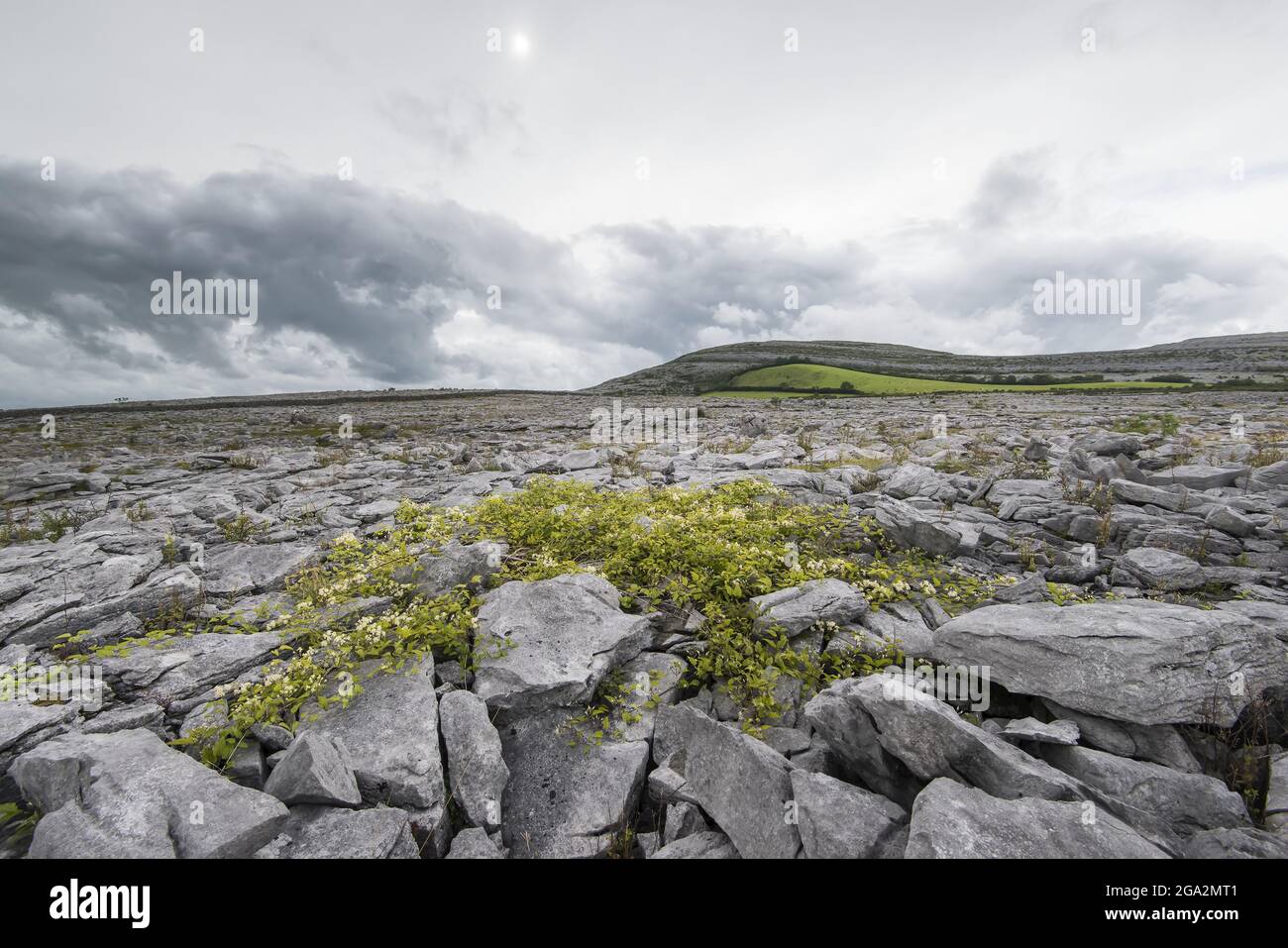 Karst limestone rocks hi-res stock photography and images - Alamy